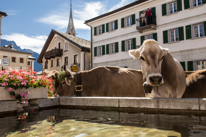 Via Engiadina | Engadin Scuol Zernez